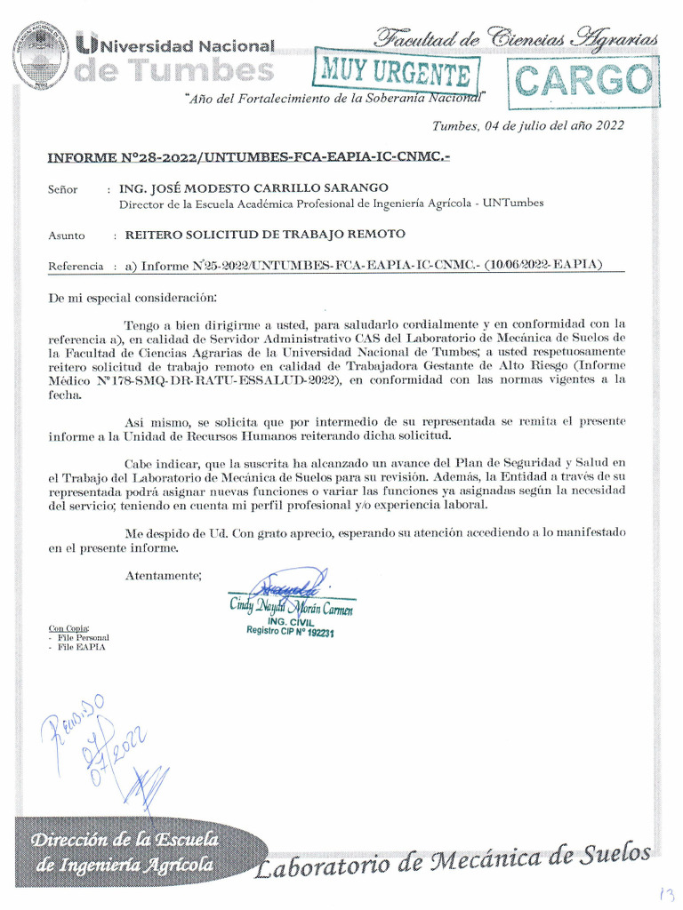 Informe 28 - Reitero Solicitud de Trabajo Remoto | PDF