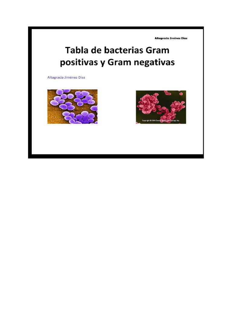 Tablas de Bac Gram Pos y Neg | PDF