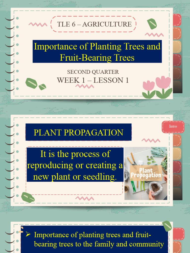 TLE 6 AGRI - W1 - Lesson 1 | PDF | Banana | Trees