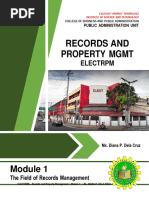 NAUPA Standard Format for Reporting | PDF | Zip Code | Comma