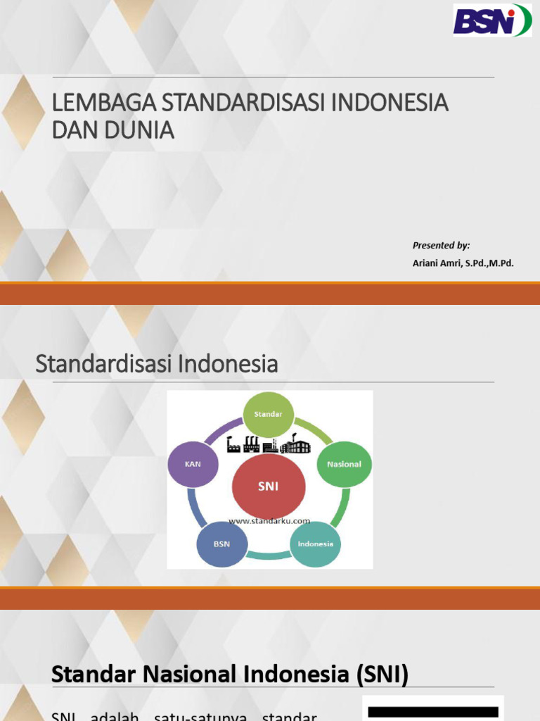 Lembaga Standardisasi Nasional Dan Internasional | PDF