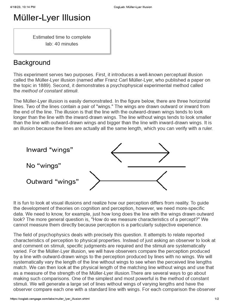 Müller Lyer Illusion Pdf Psychophysics Perception