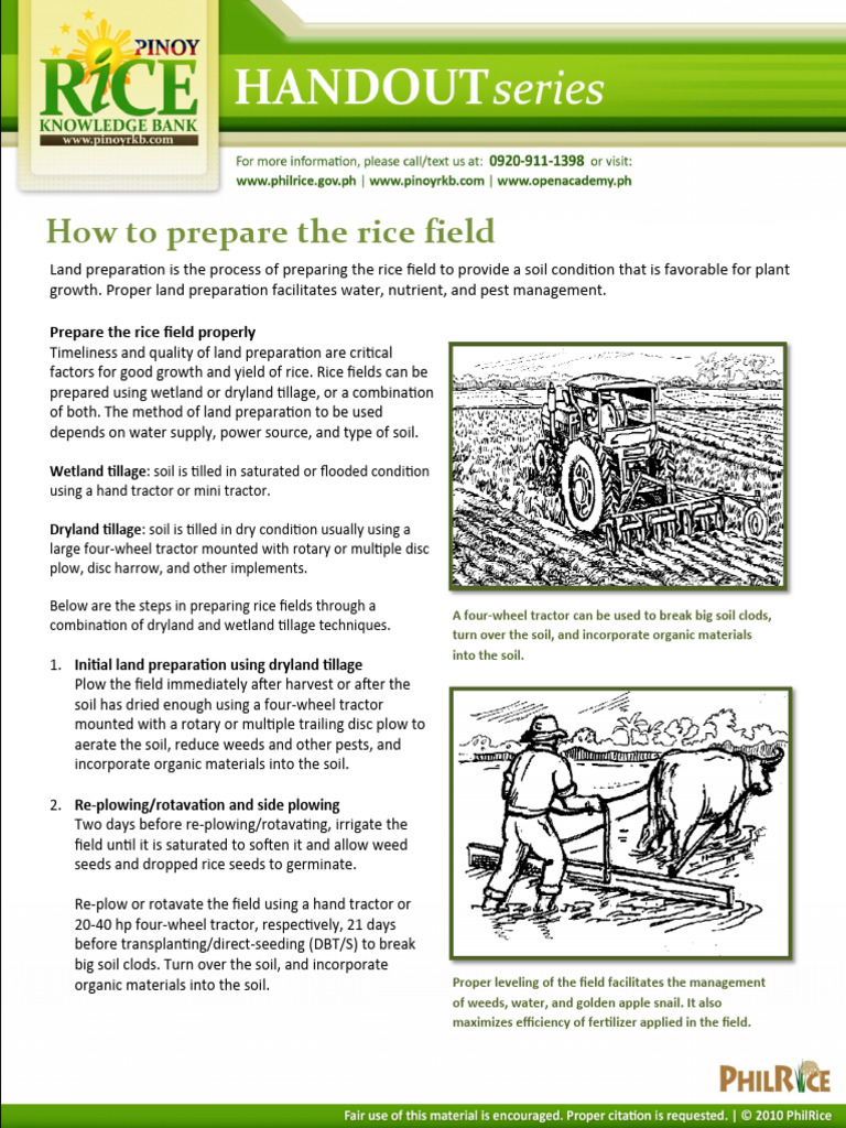 How To Prepare The Rice Field | PDF | Tillage | Rice