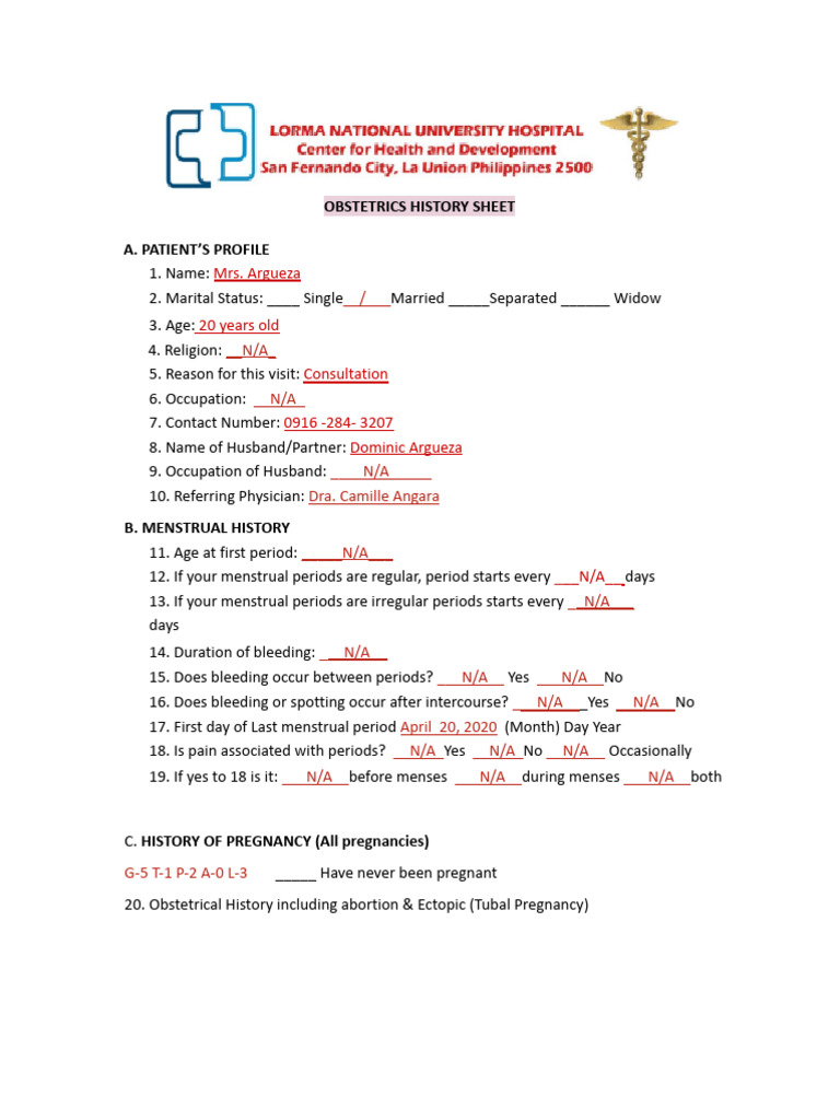 Group 5 - Obstetrics History Sheet | PDF | Pregnancy | Menstruation