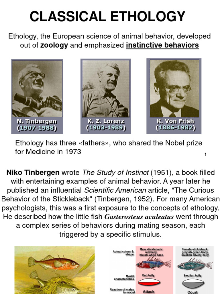 Classic Ethology 2020 | PDF | Ethology | Behavioural Sciences