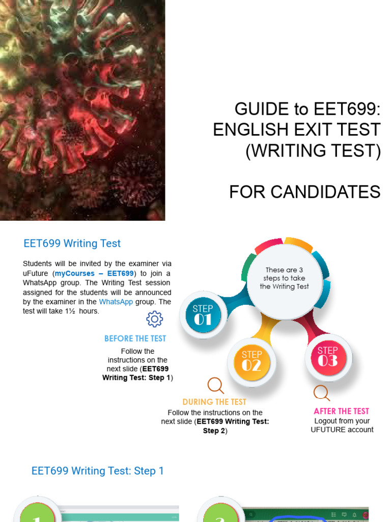 01 EET699 Guidelines For Candidates (Writing Test) | PDF | Computers