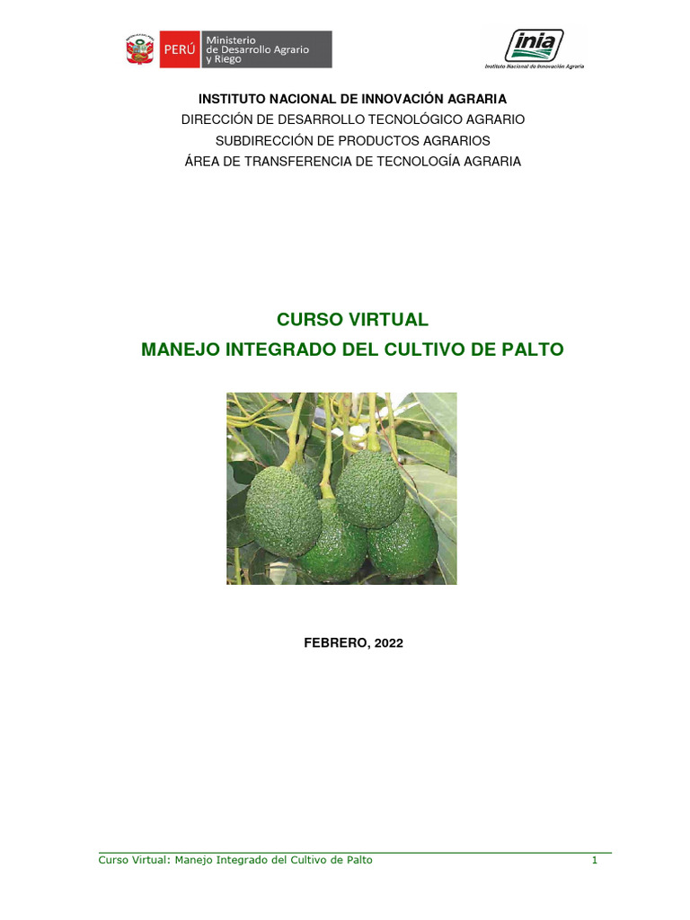 Curso SEO: Cultivo de Palto Online | PDF | Aguacate | Fertilizante
