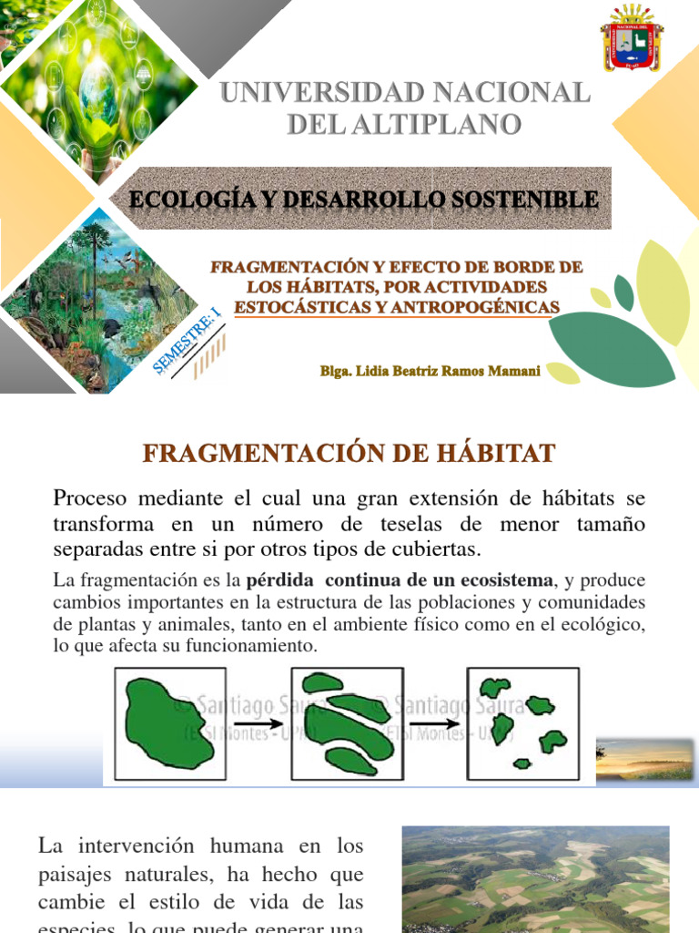 4 - Fragmentacion de Habitats y Actvds | Descargar gratis PDF | Destrucción del habitát ...