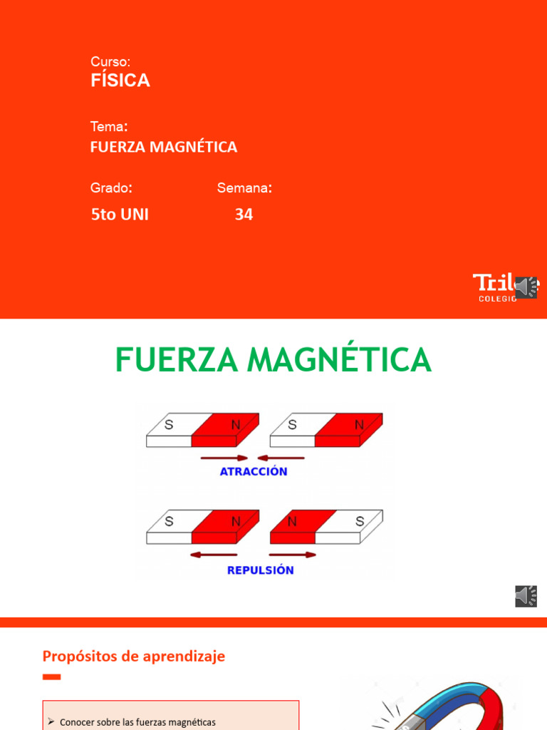 Fuerza Magnética en Física Escolar | PDF | Magnetismo | Fuerza