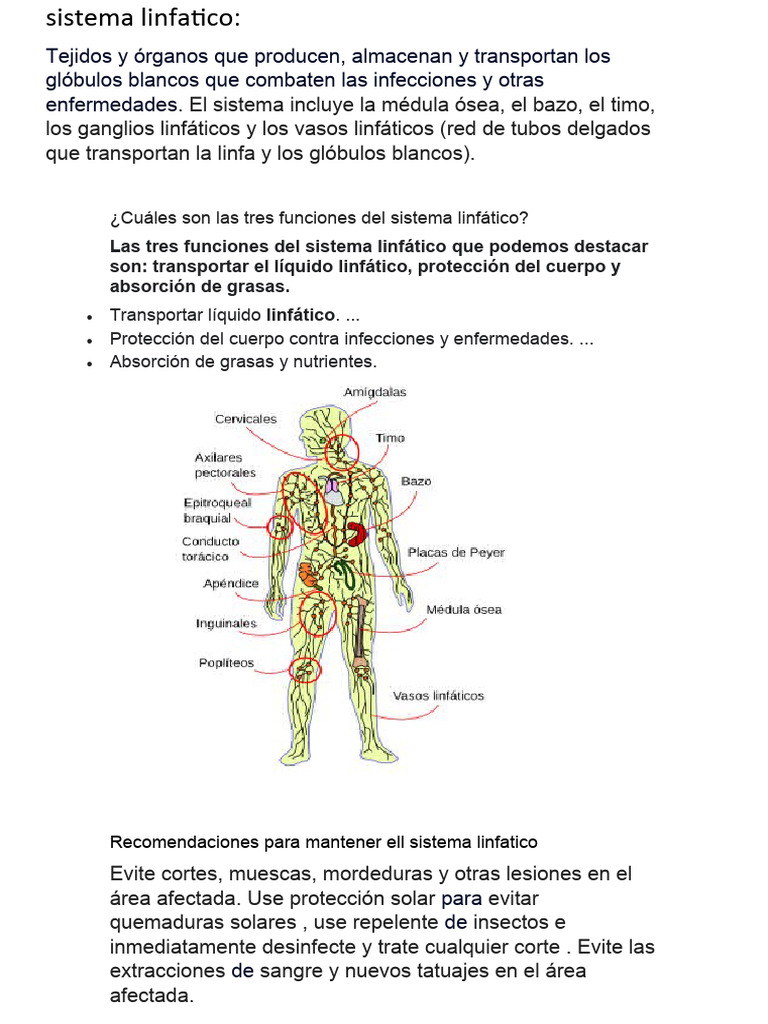 Sistema Linfatico | PDF | Ciencia y matemáticas