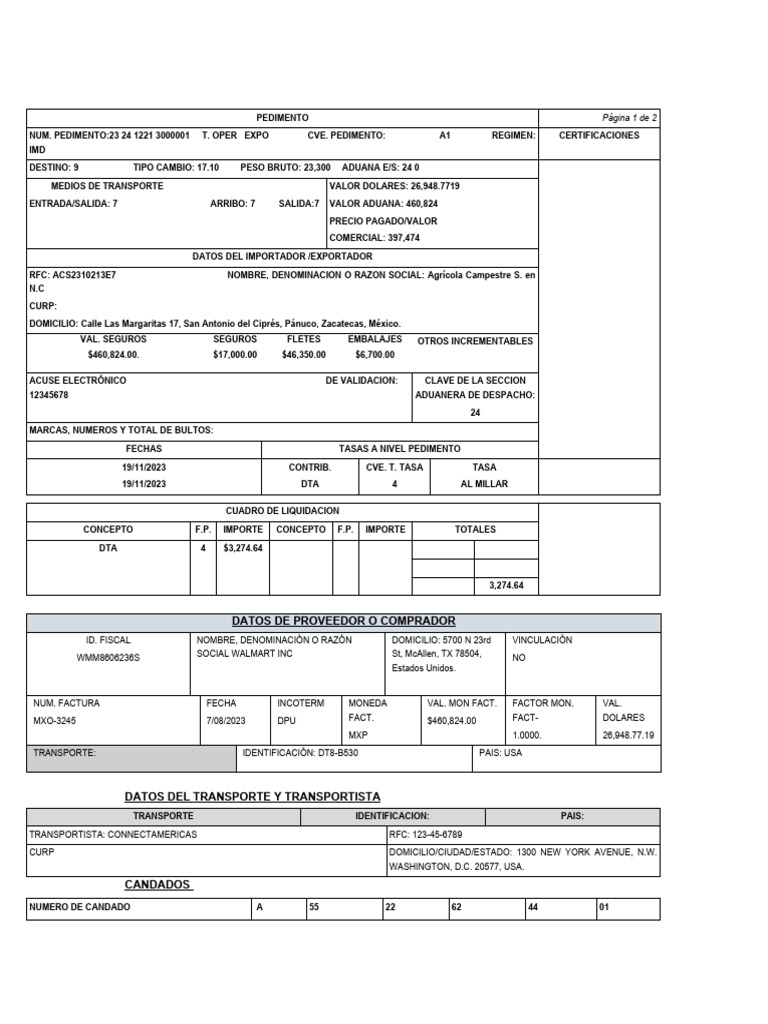 Formato de Pedimento | PDF | Business | El comercio internacional
