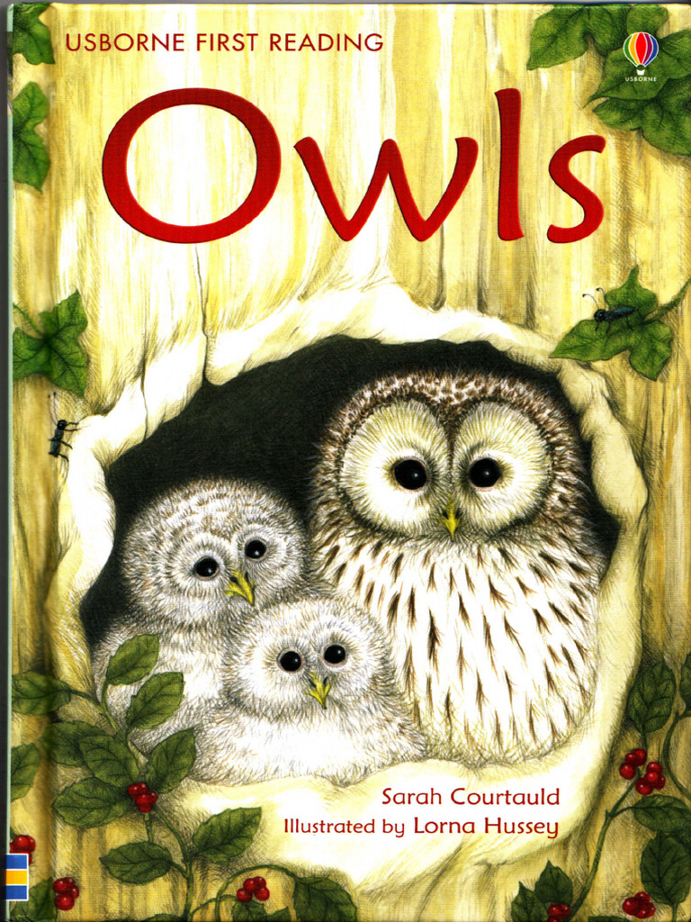 Sarah Courtauld-Owls (First Reading Level 4) - 2009 | PDF