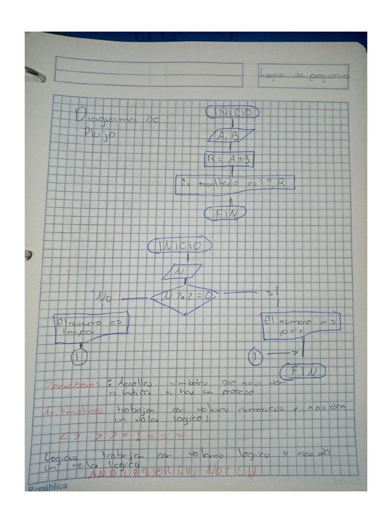 Logica de Programacion Apunte | PDF