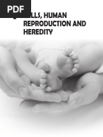 HIST 2022-2023 Term 1 F1 Questions | PDF | Ancient Egypt | Mycenaean Greece