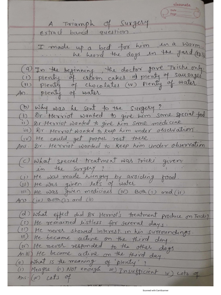 A Triumph of Surgery Notebook Work | PDF