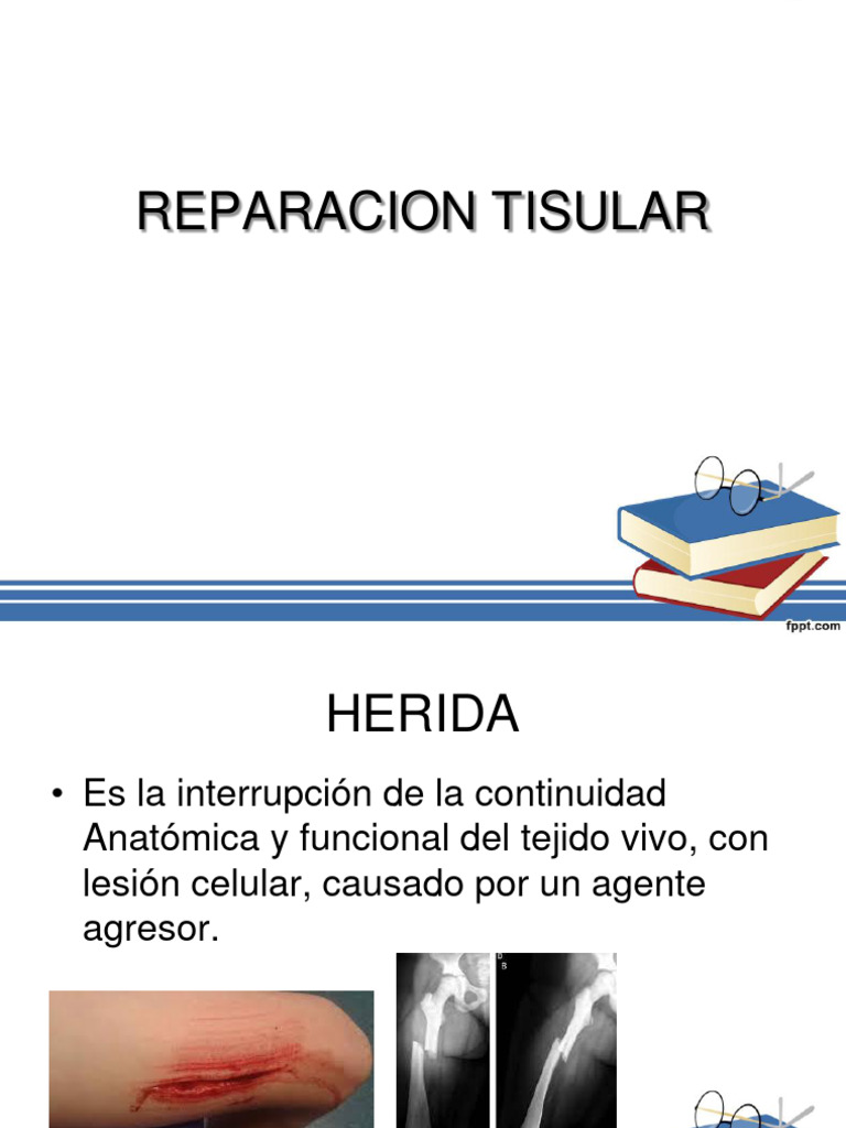5 Reparacion Tisular | Descargar gratis PDF | Cicatriz | Regeneración ...