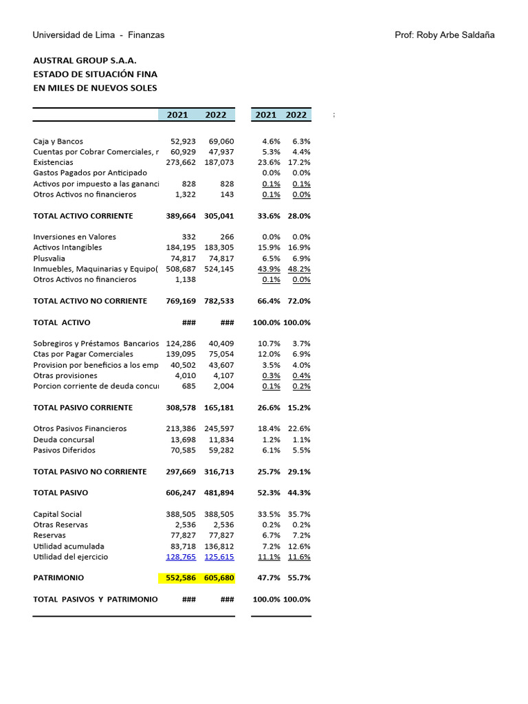 Grupo Austral | PDF | Capital de trabajo | Compartir (Finanzas)