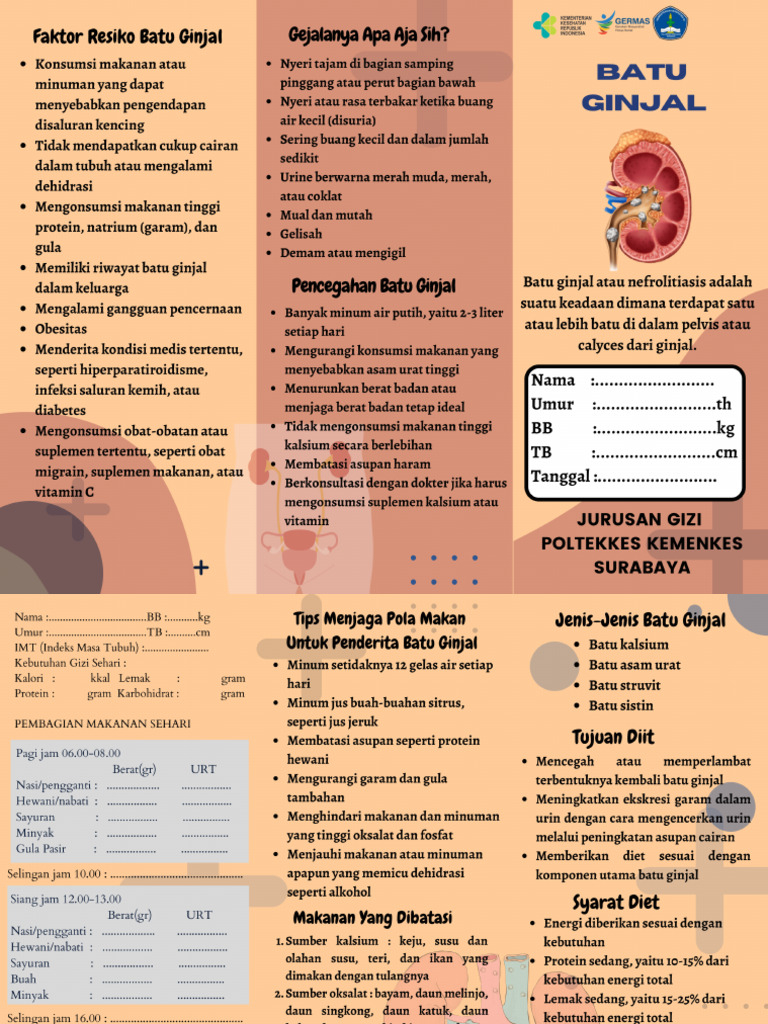 Kelompok 22 - Leaflet Batu Ginjal - Reg B | PDF