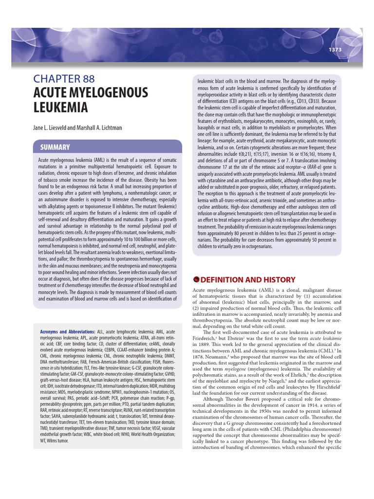 Leucemia Mieloide Aguda | PDF | Leukemia | Hematopoietic Stem Cell ...