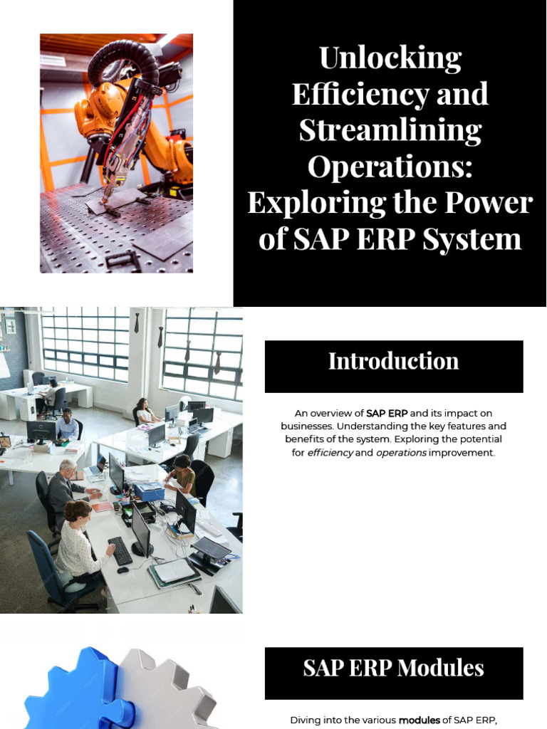 SAP ERP System | PDF