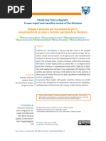 Pene de Perro - Anatomía, Características y Enfermedades | PDF | Pene ...