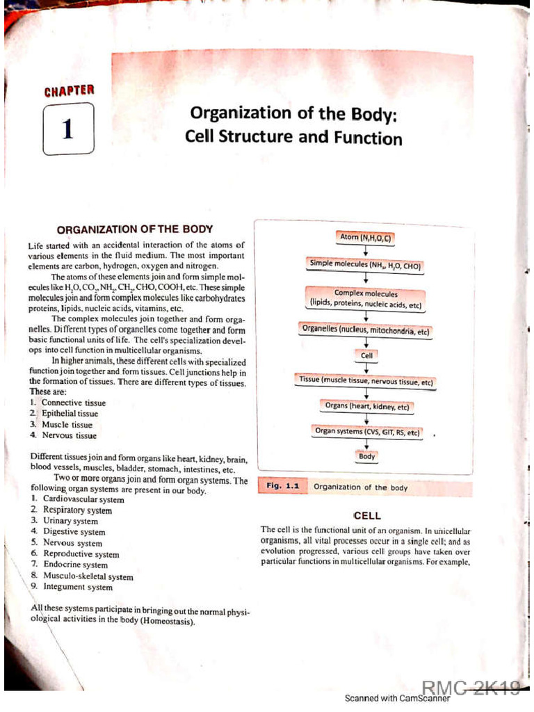 LPR Physiology IMA | PDF