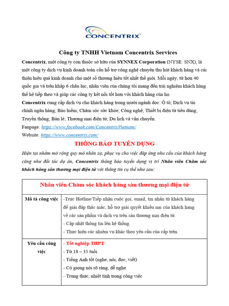 JD CNX CSKH SÀN THƯƠNG MẠI ĐIỆN TỬ | PDF