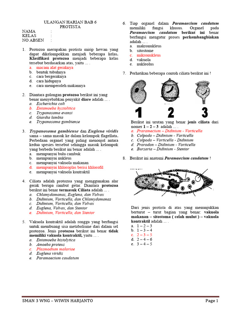 Soal Uh Bio X Bab 6 Protista 2021 Plus Kunci | PDF | Sains & Matematika