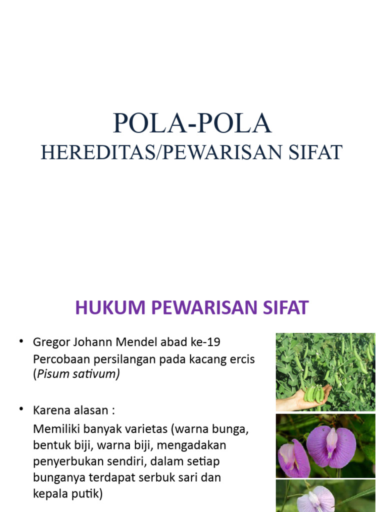 Pola Pola Hereditas | PDF | Sains & Matematika