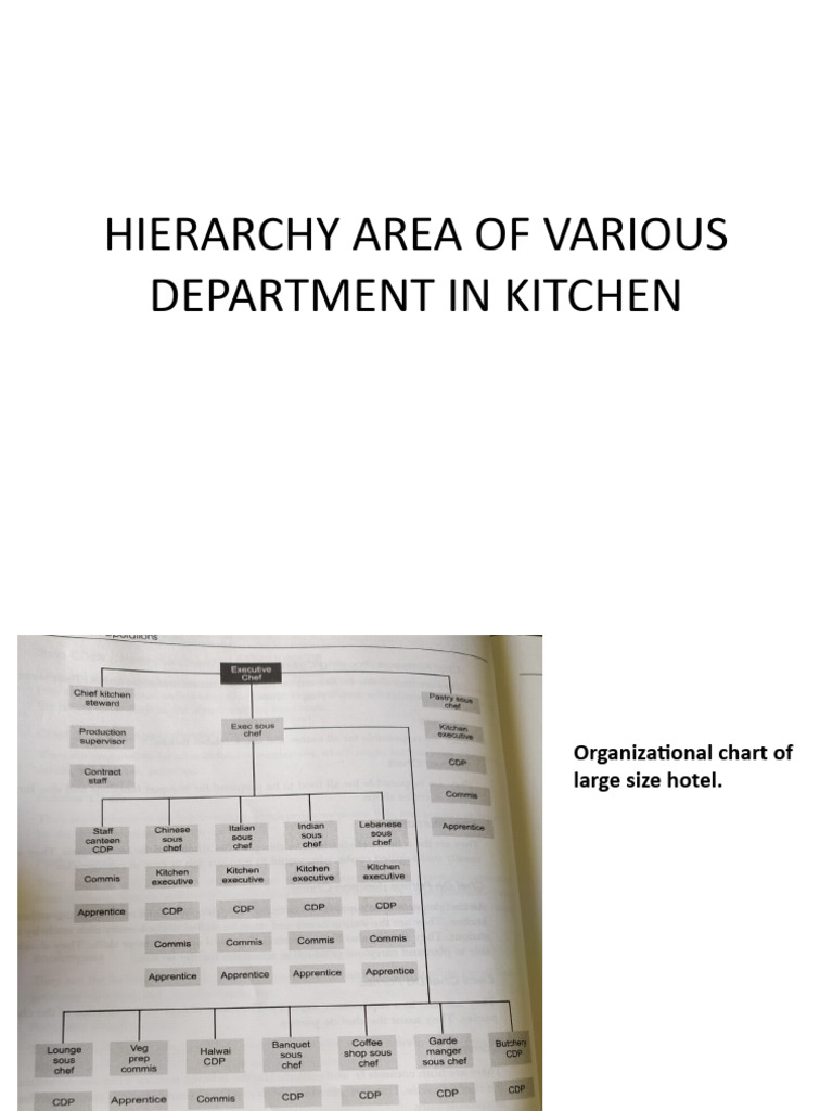 Hierachy Area of Department and Kitchen | PDF | Chef | Garde Manger