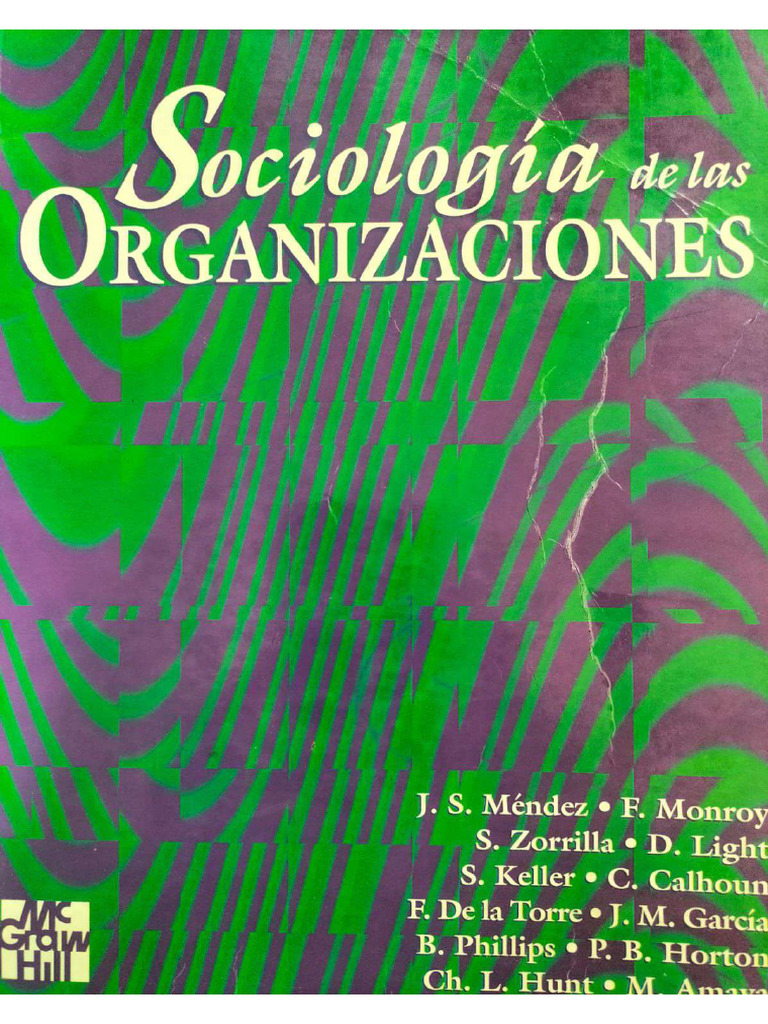 Sociología de Las Organizaciones | PDF