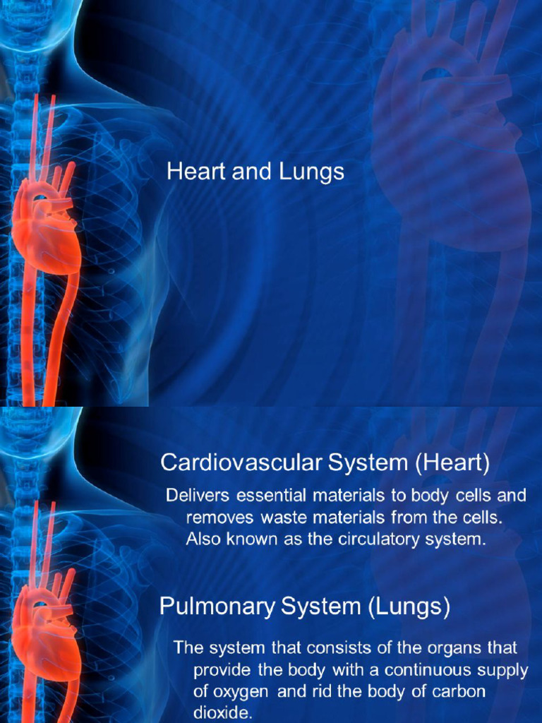 Heart and Lungs PPT (TSE) | PDF