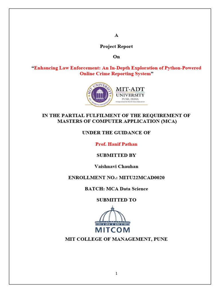 Sip Report Pdf Web Design Python Programming Language 5477