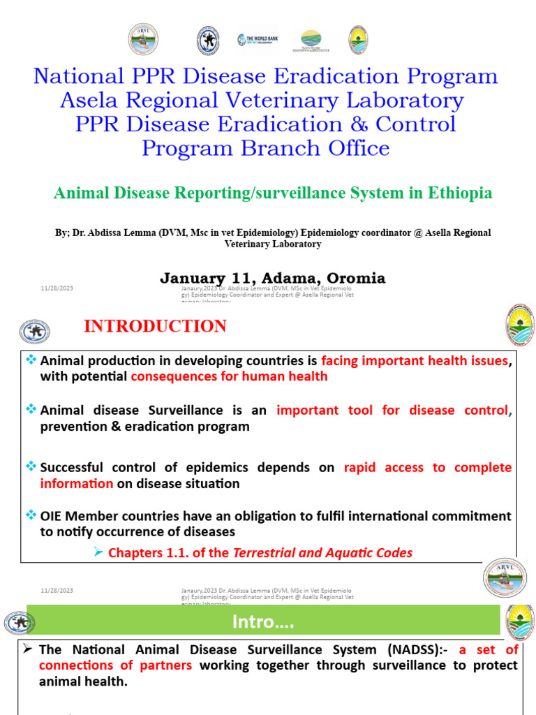 Animal Disease Reporting System | PDF | Epidemiology | Veterinary Medicine