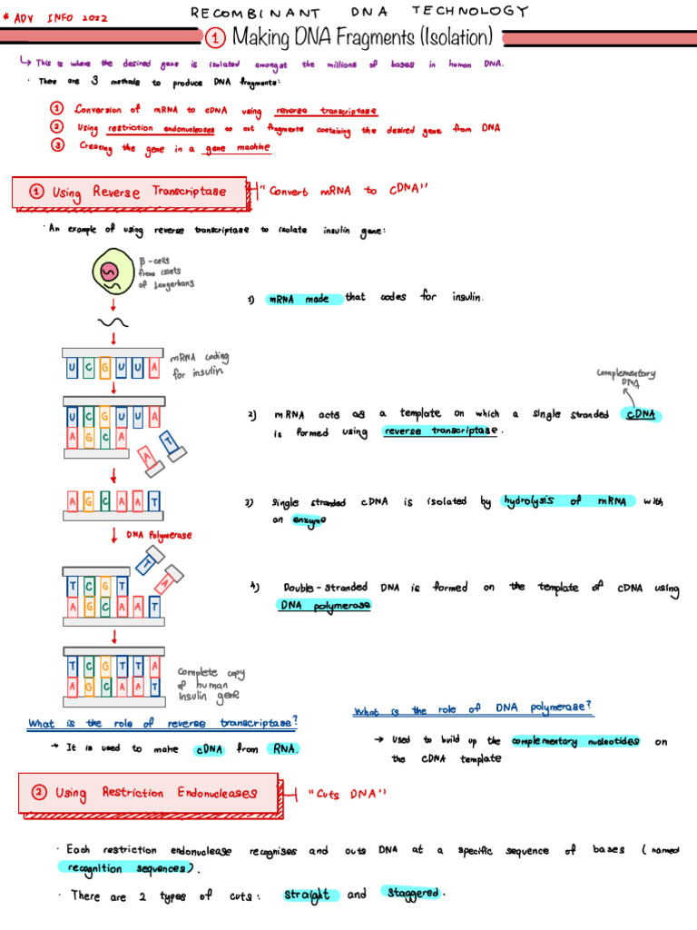 Methods for Isolating DNA Fragments | PDF | Complementary Dna | Dna