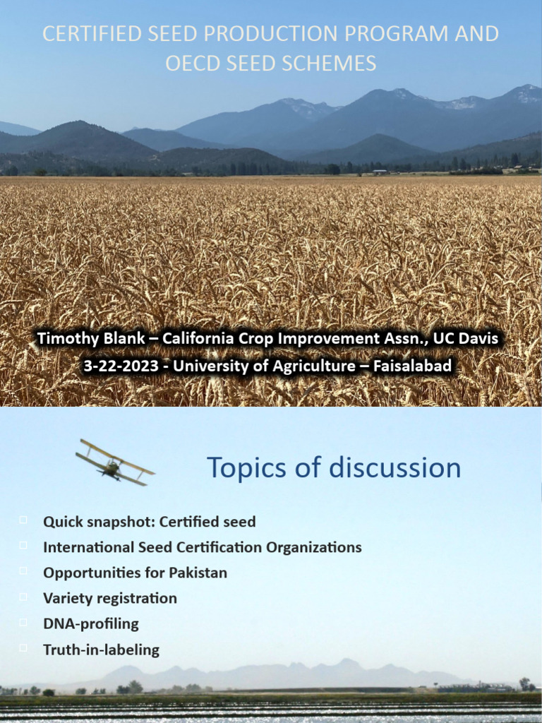 UAF - Certified Seed Production and OECD Schemes | Download Free PDF ...