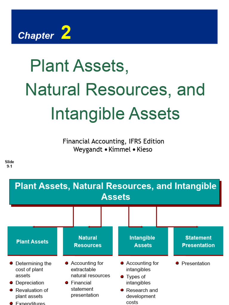 2023 Chapter Two Accounting For Plant Asset | PDF | Depreciation | Intangible Asset