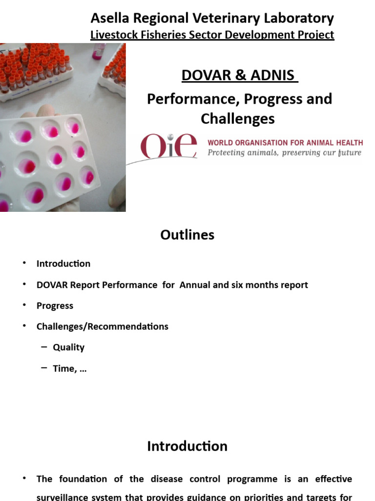 DOVAR & ADNIS Performance Report 2020 | PDF | Health Economics | Public ...