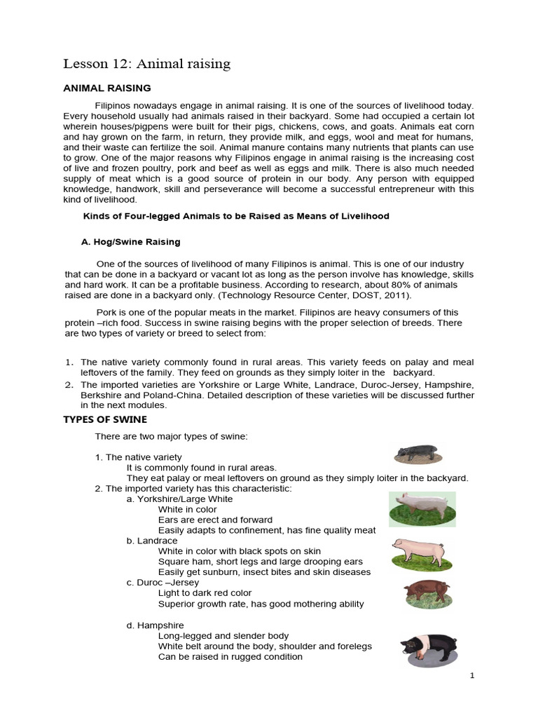 Lesson 12 Animal Raising | PDF | Chicken | Poultry Farming