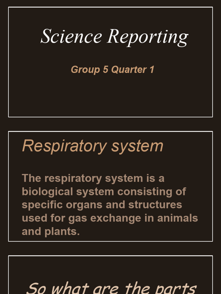 Q1 9 Science Respiratory System | PDF | Lung | Respiratory Tract