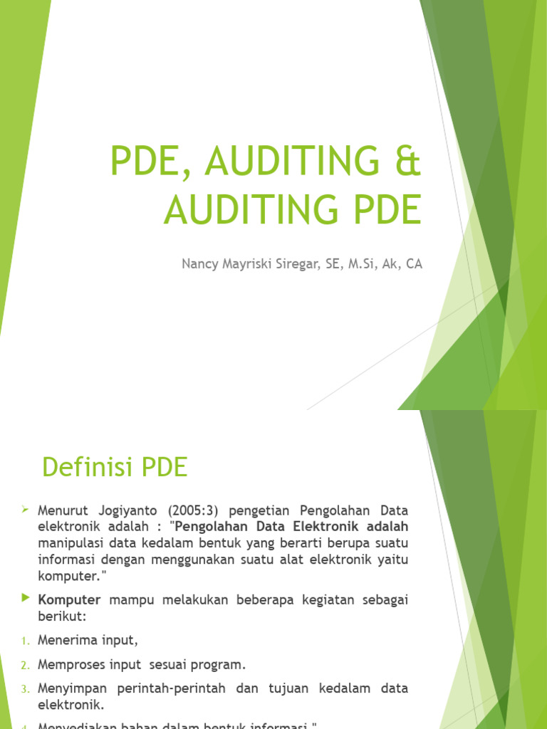 Audit Pde | PDF
