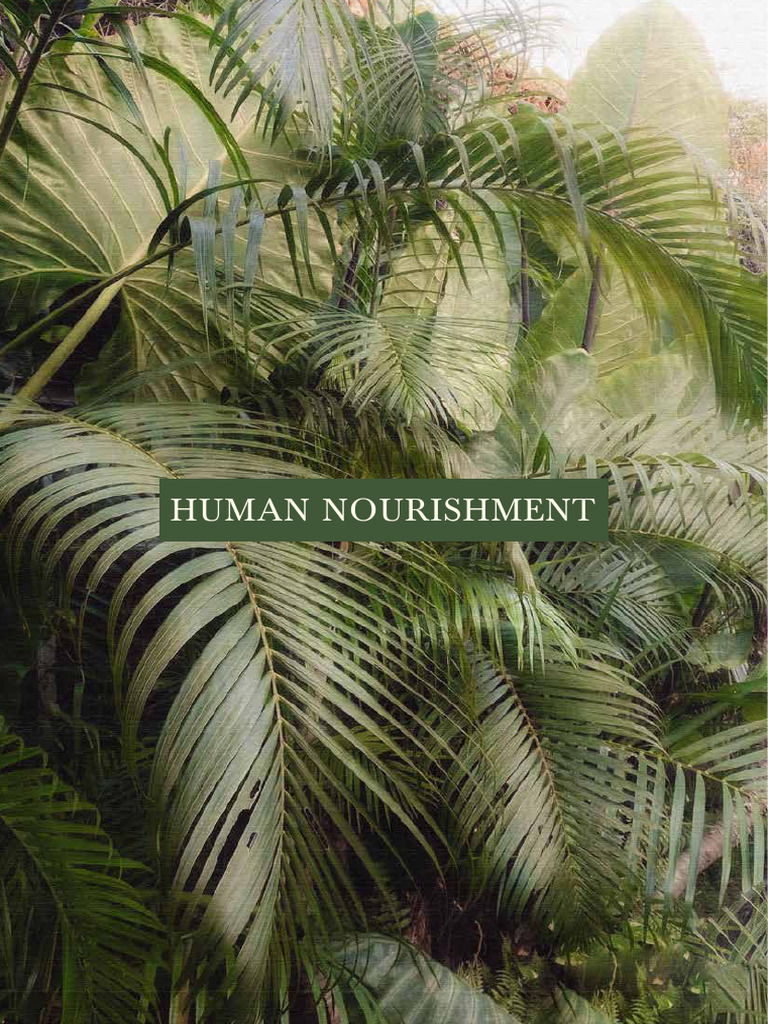 Menu Hoffmann New 2023 (Resize) | PDF | Drink | Food Ingredients