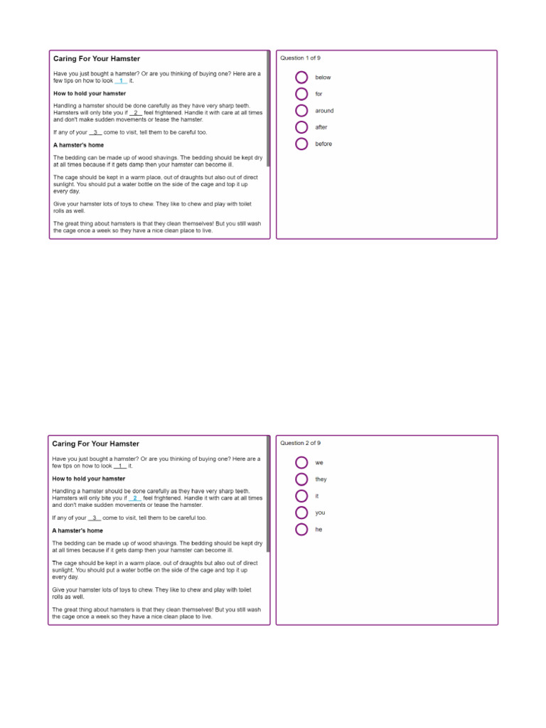 Reading Comprehension Caring For Your Hamster | PDF
