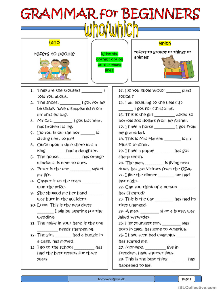 Grammar For Beginners - Who - Which | PDF