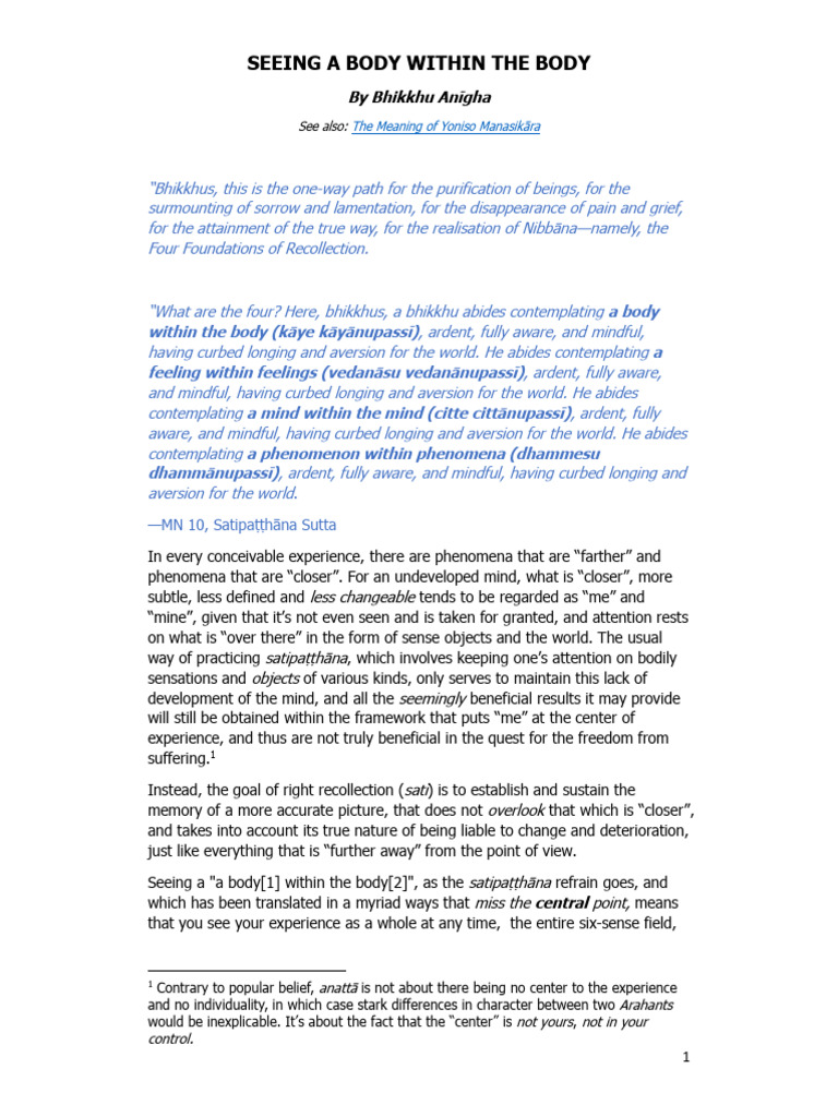 Seeing A Body Within The Body - BHIKKHU ANIGHA | PDF | Cognition ...
