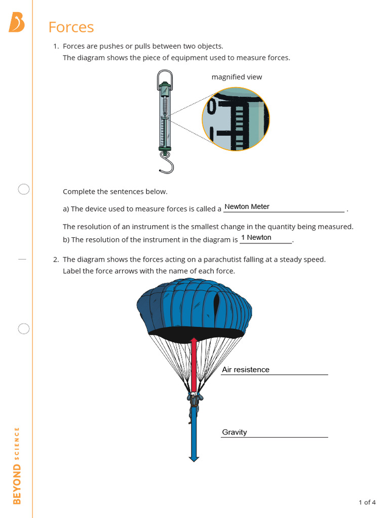 Forces L2 Measuring Forces WS | PDF | Force | Weight