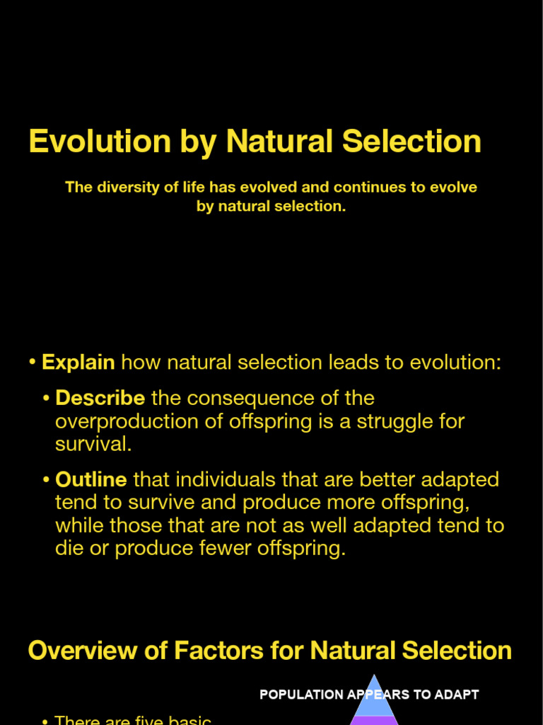 Evolution and Natural Selection | PDF | Natural Selection | Evolution