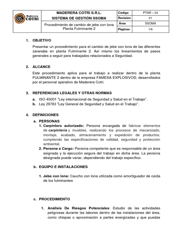Cotri Pets f2 | PDF | Auditoría