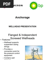 Cameron Catalog | PDF | Subsea (Technology) | Nature