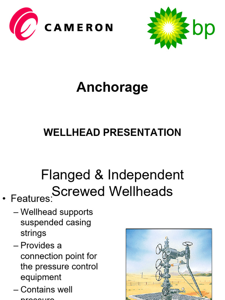 Cameron Wellhead Presentation | PDF | Casing (Borehole) | Valve